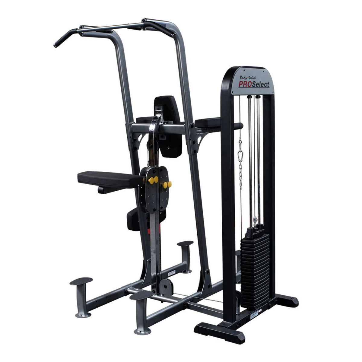 Body-Solid Pro Select Free Standing Weight Assisted Chin and Dip ...